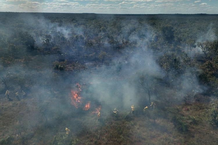 In Brazil’s Cerrado region, Indigenous fire practices reshape wildfire ...