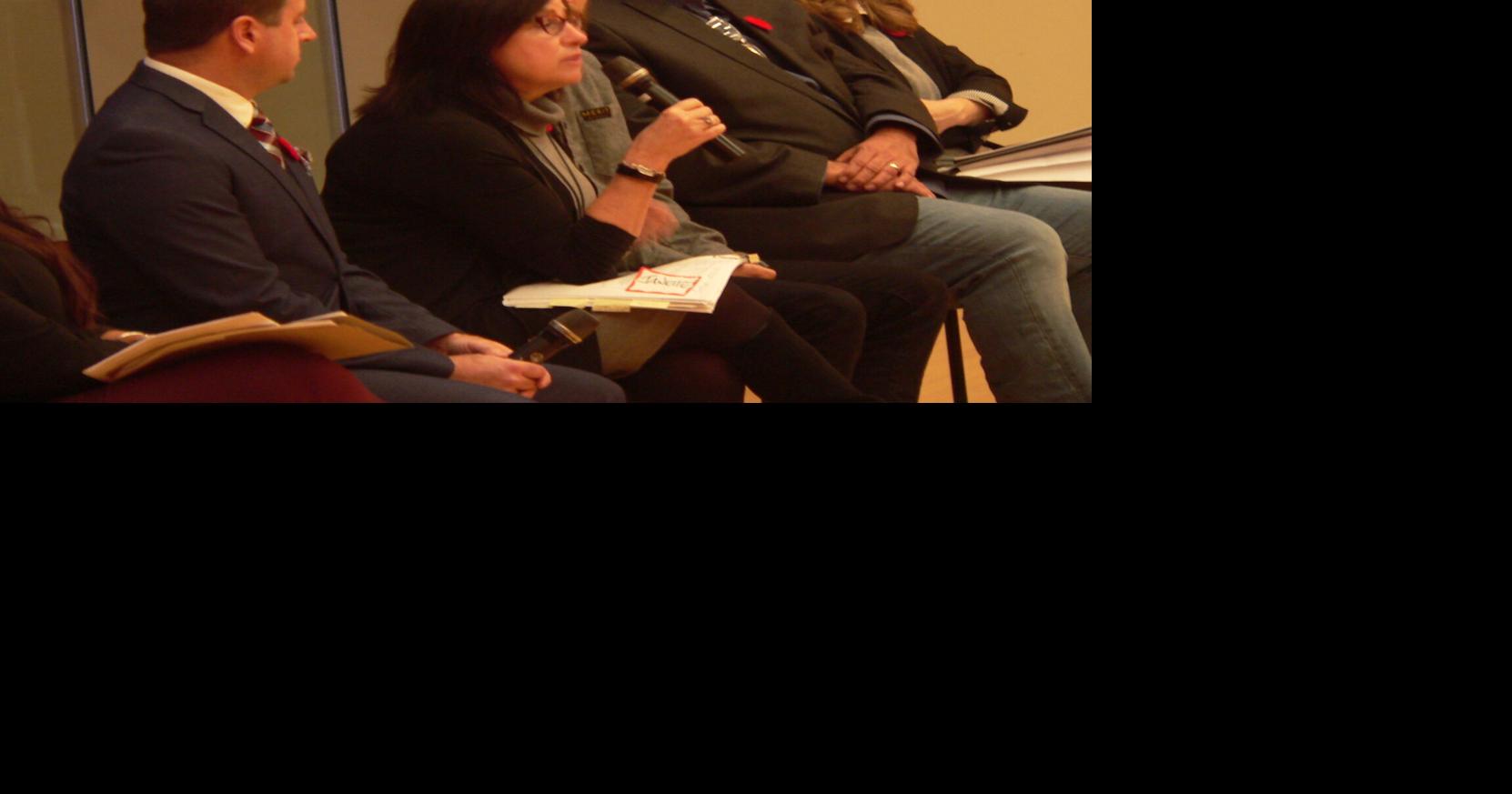 Hamilton councillors urge residents to fight for climate change measures