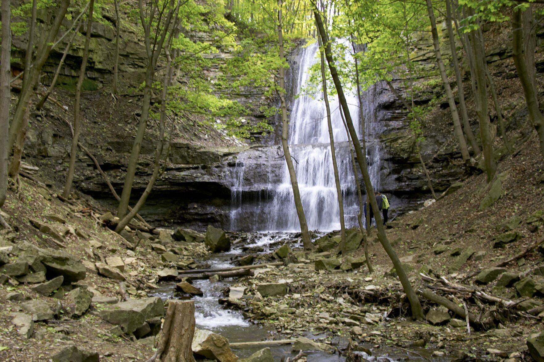 Which Hamilton waterfall is loved the most?