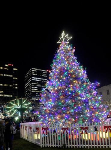 Downtown Hamilton Christmas tree gets lit with holiday spirit