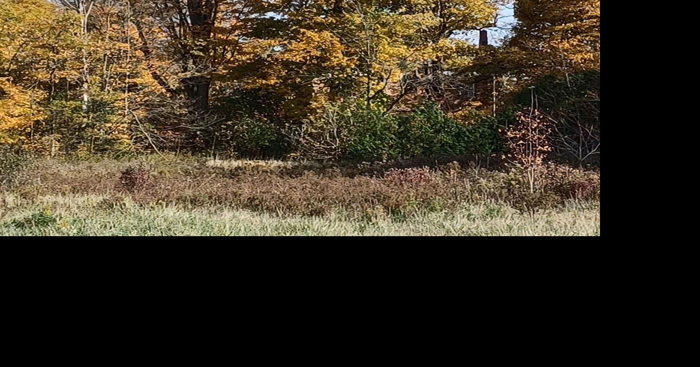 Demolition permit granted for historical Ancaster house