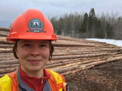 Coming soon to a Renfrew County Forest near you: tree planters.