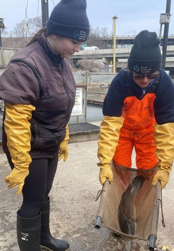Saving Paradise: the long road to rehabilitate Cootes