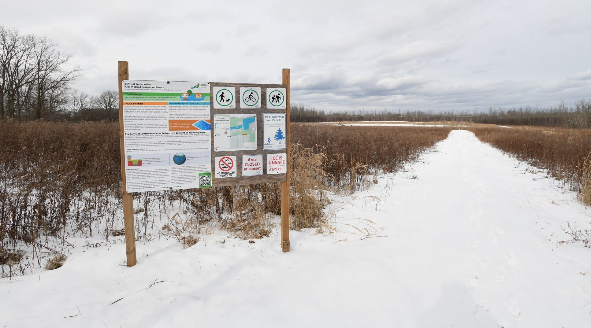 Hamilton Conservation Authority’s new wetlands