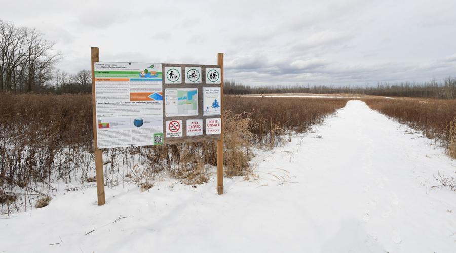 Hamilton Conservation Authority’s new wetlands