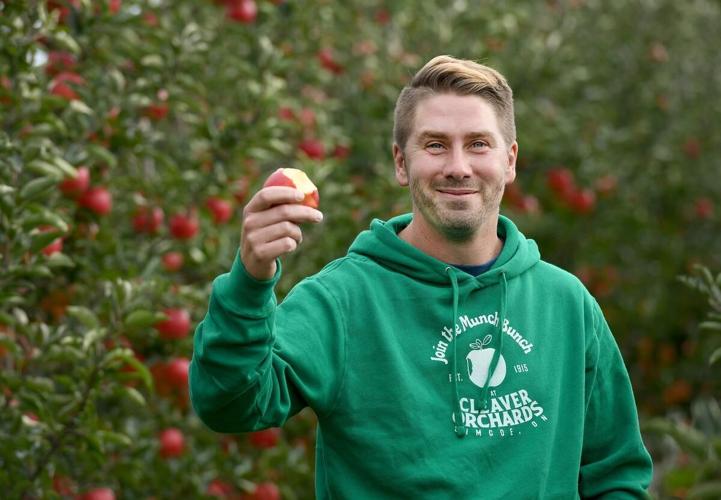 Sweet harvest: Simcoe apple orchard offers shoppers a taste of ...