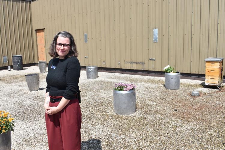 Beekeeping on the roof at CF Lime Ridge on Hamilton Mountain