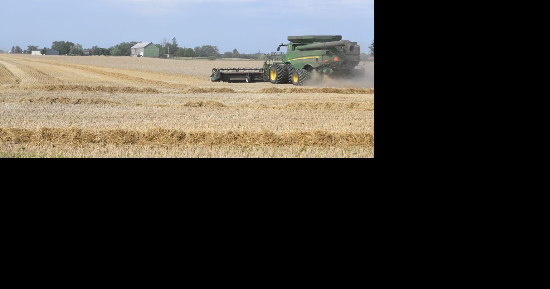 In this trade war, agriculture is just collateral damage