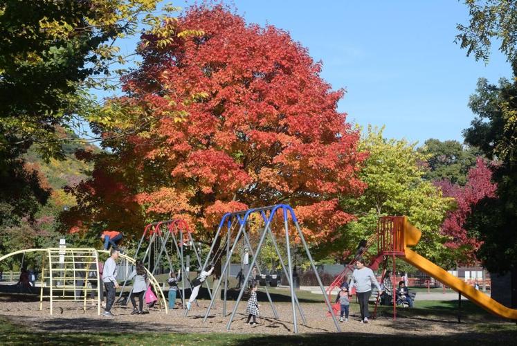 Fall foliage brightens up Hamilton