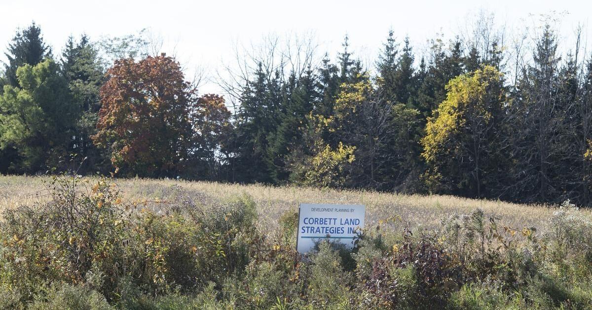 What happens next after Hamilton urban boundary flip-flop?