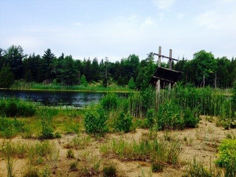 PAUL WILSON: Camp Ipperwash - my long-ago summer on stolen land