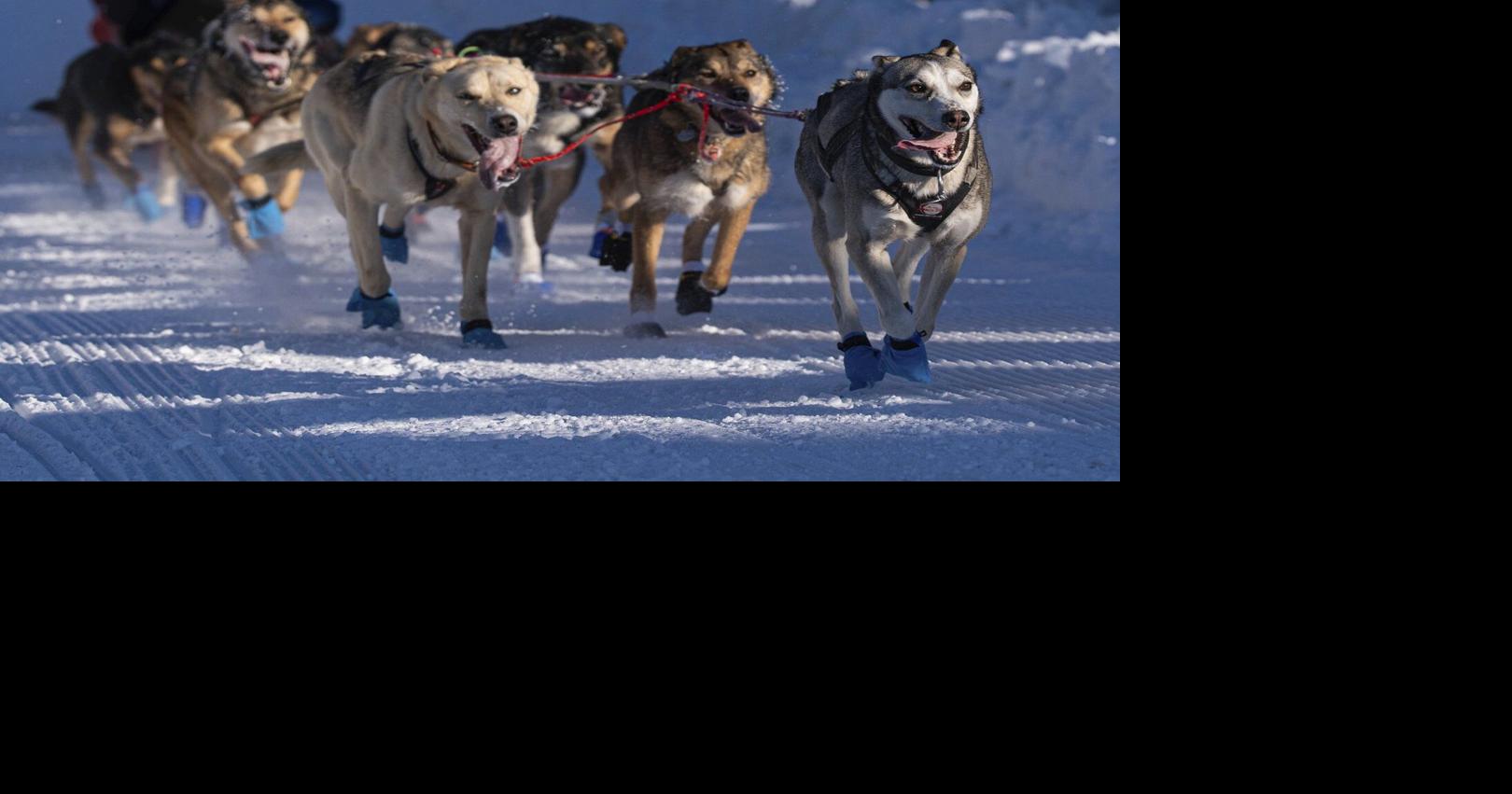 The world's most famous sled dog race is longer than ever. Here's a ...
