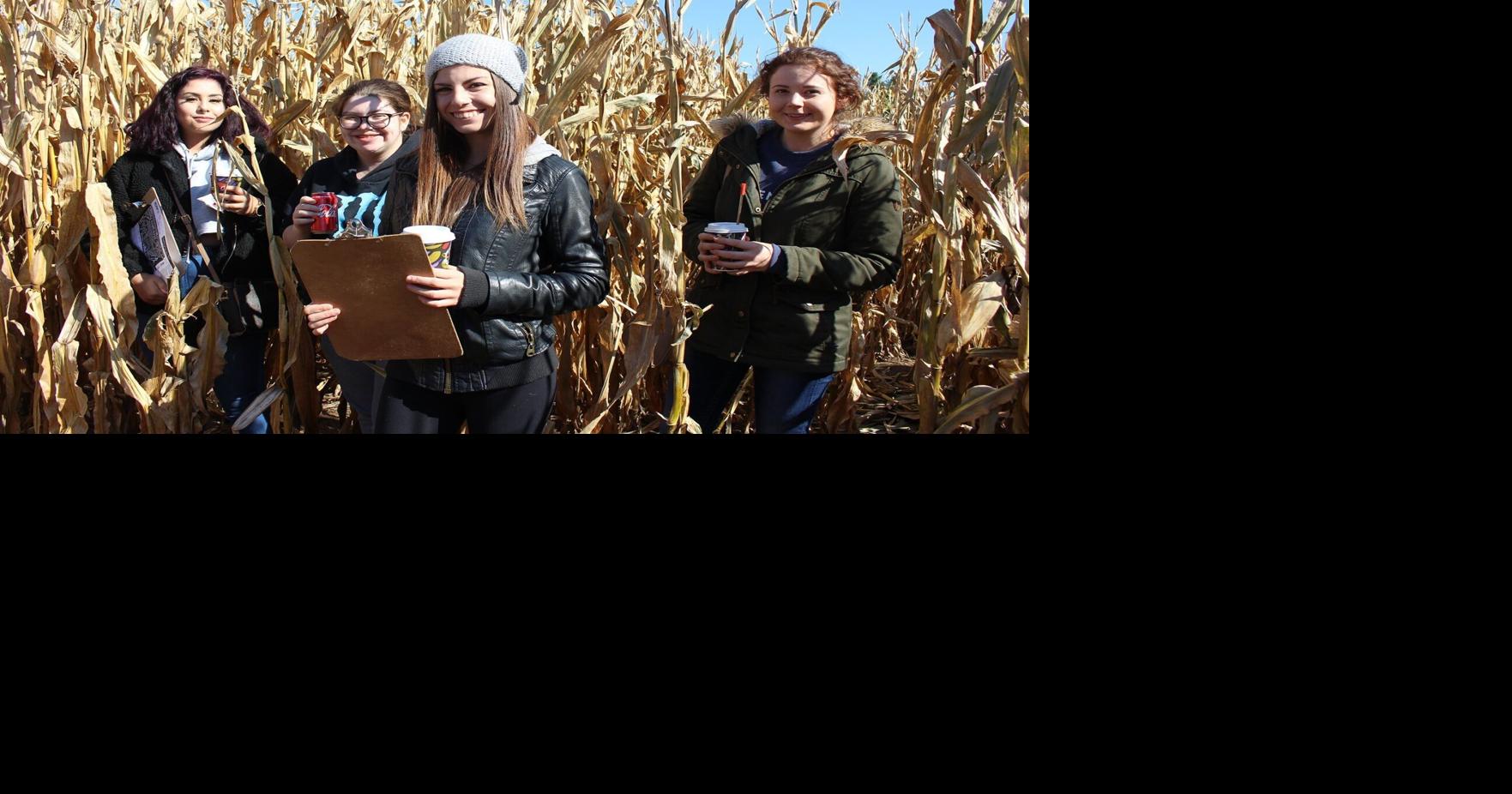 Enjoy fall fun and Halloween happenings in Flamborough