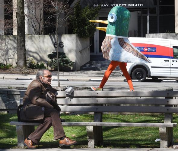 2020 through the lens of John Rennison