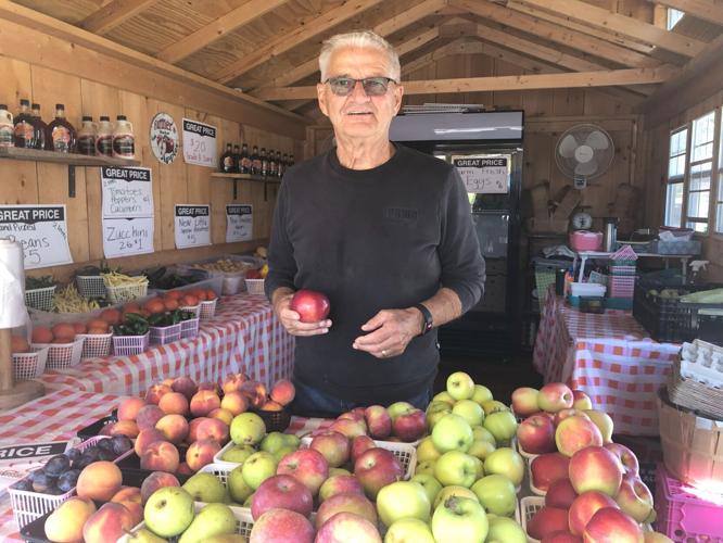 5 early-season Ontario apples to try right now