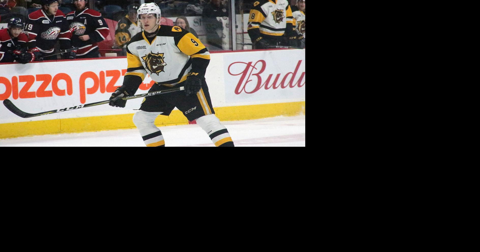 Stoney Creek native Reilly Webb pumped for first full season with ...