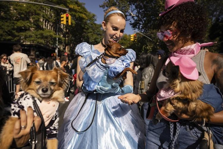Pups on parade: Dogs dressed to the nines for annual New York City ...