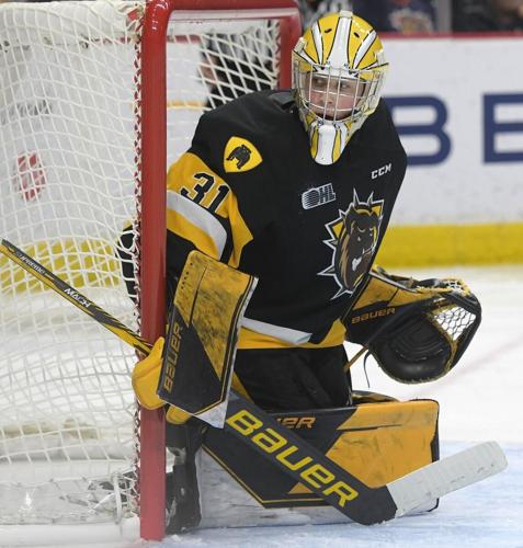 Goalie David Egorov is making the Hamilton Bulldogs excited