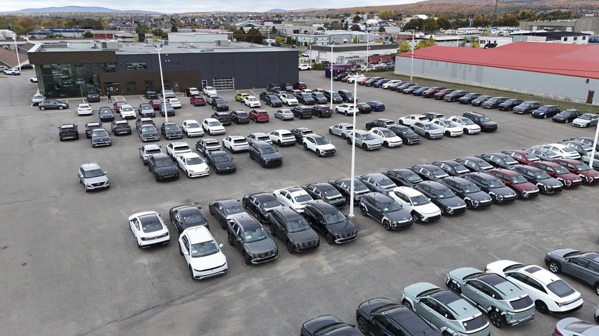 Experts debunk some common myths about auto insurance