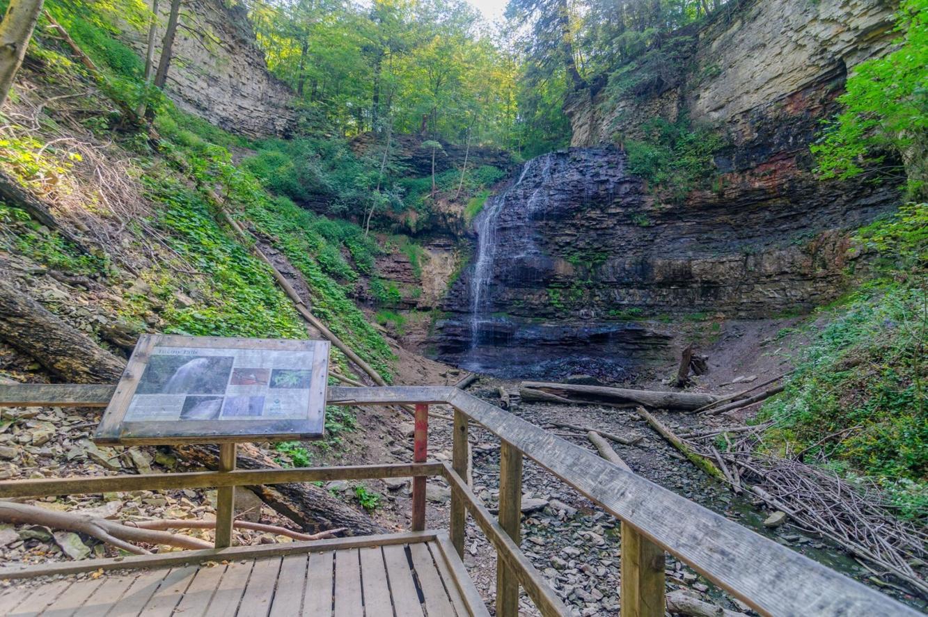 Which Hamilton waterfall is loved the most?