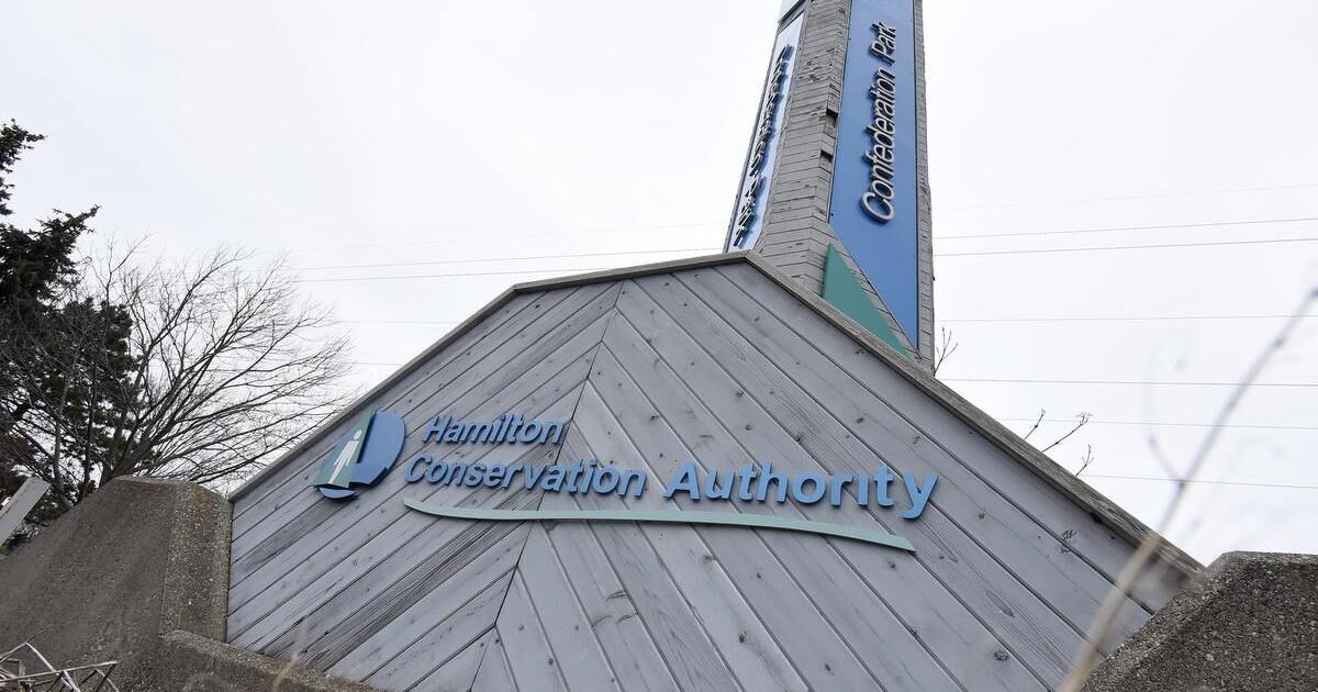 Hamilton Conservation Authority has some bridge building to do