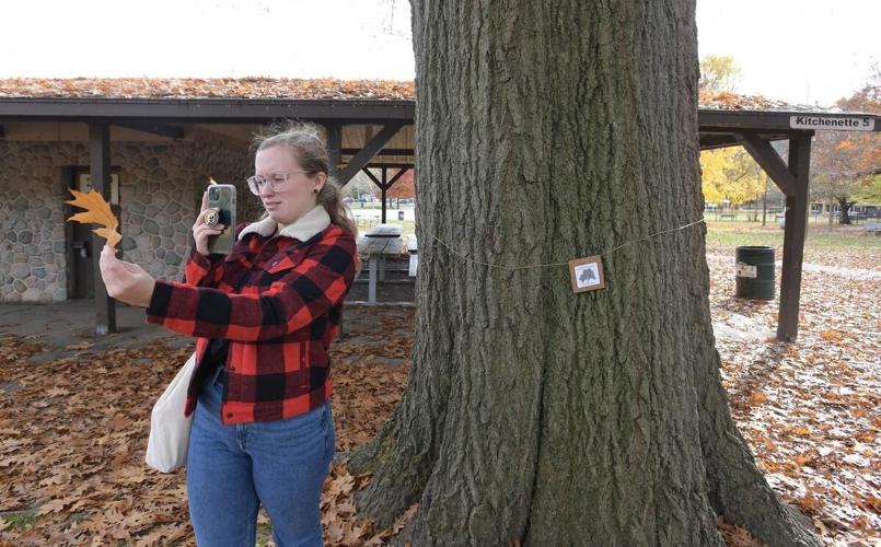 Augmented reality tour helps Hamilton residents ‘meet the trees’ in the ...