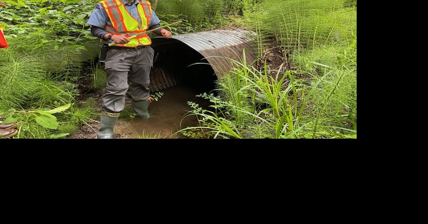 Homalco First Nation's ecosystem approach to flooding protects people ...