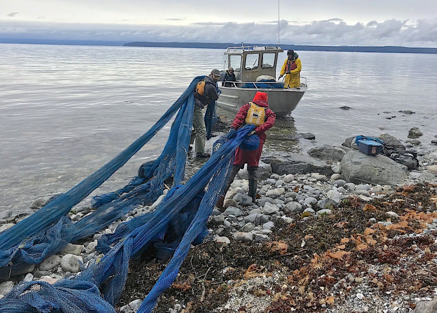 Canada is claiming credit for tackling ghost gear, despite scuttling ...