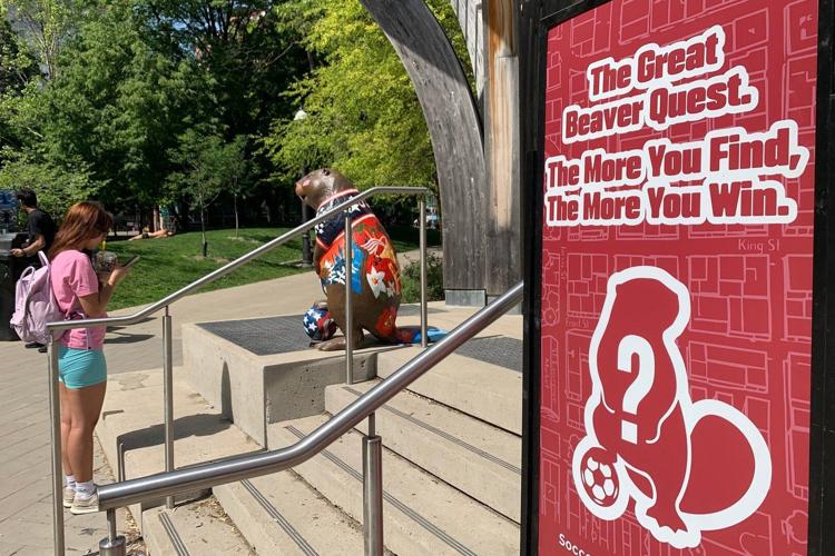 Join the beaver hunt: Toronto neighborhood offers unique World Cup ...