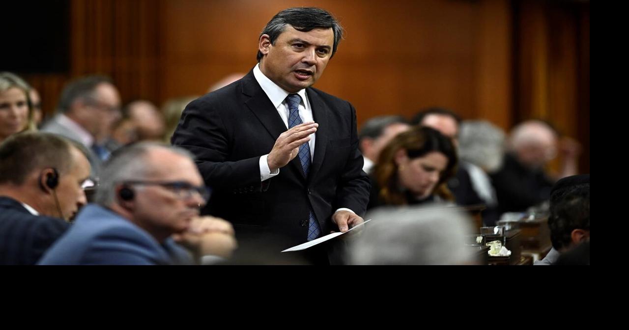 Conservative MP Michael Chong granted standing in inquiry on foreign ...
