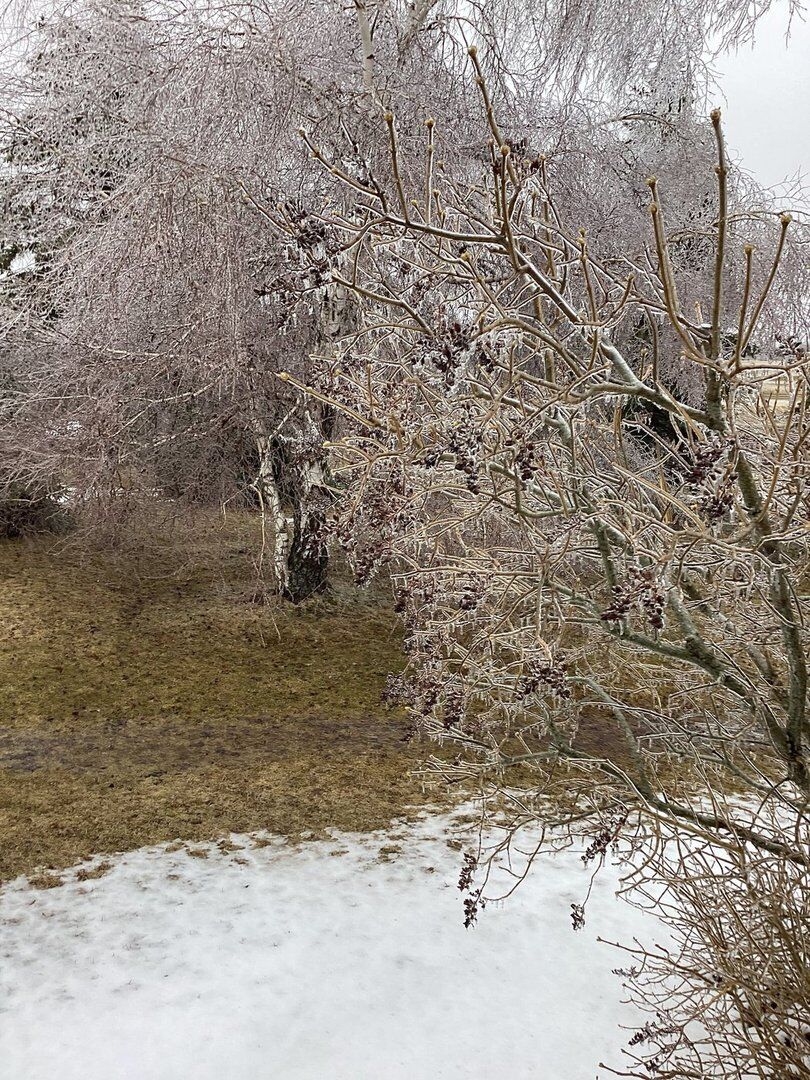Hundreds of thousands still without power as ice storm moves east