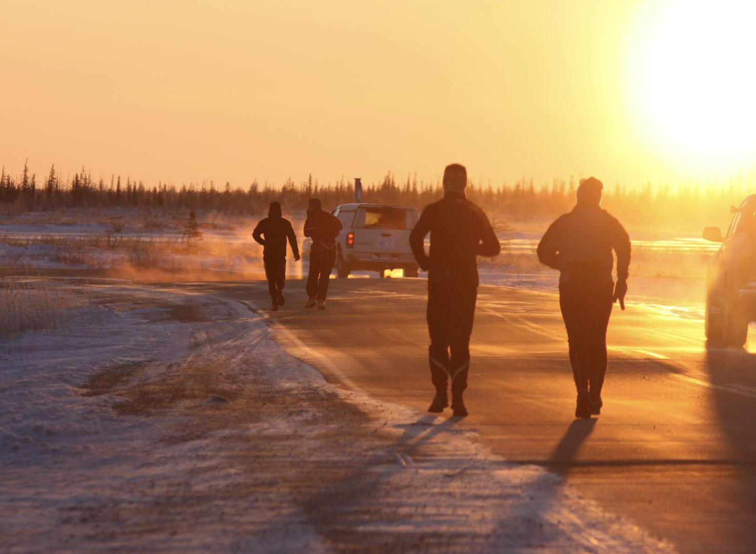 Churchill’s Polar Bear Marathon Needs Mascots, Drivers, and People Who ...