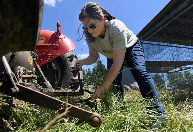 Snapshot of farm life: Amid rapidly disappearing farmland one Hamilton ...