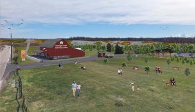 $6 million gifted to Saltfleet wetlands restoration