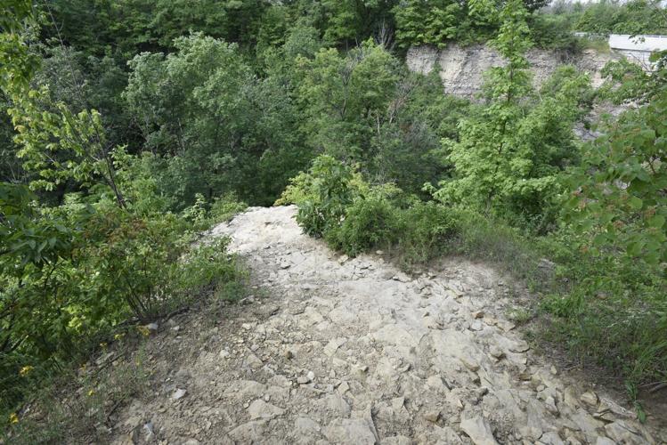 Dream Team makes ‘wild rescue’ of pup at Buttermilk Falls