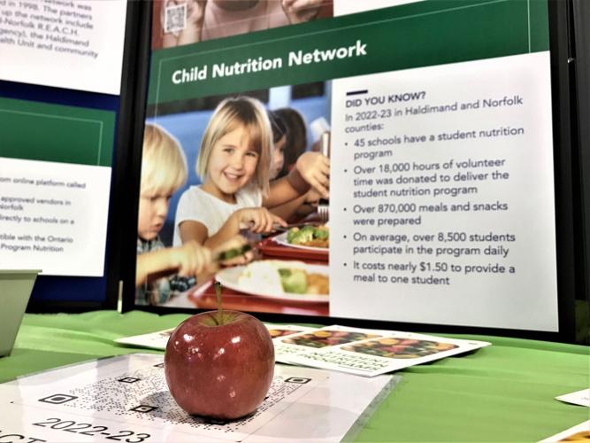 Haldimand-Norfolk school snack programs face funding crunch