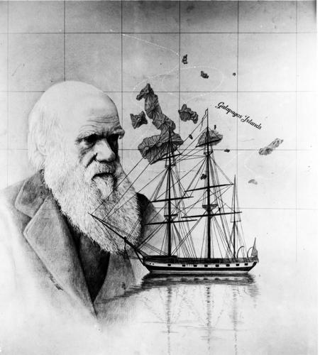 Review: ‘The Evolution of Charles Darwin’ by Diana Preston