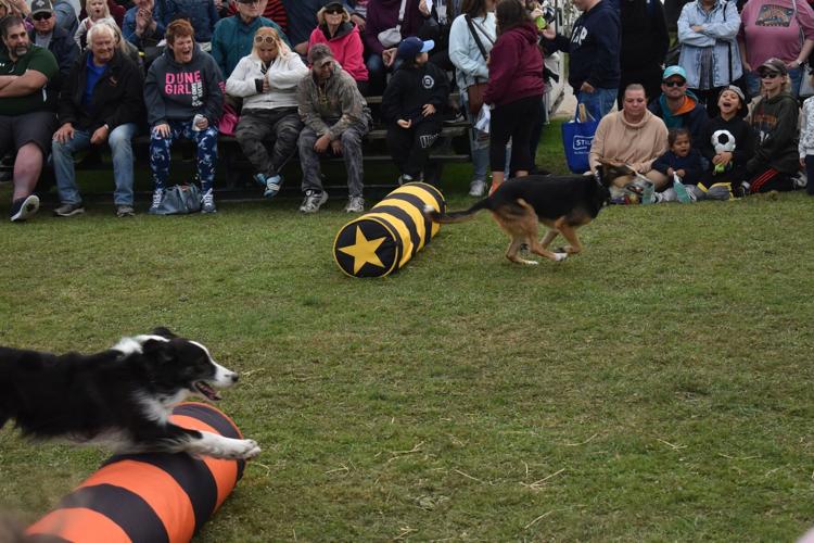 Caledonia Fair marks 150 years
