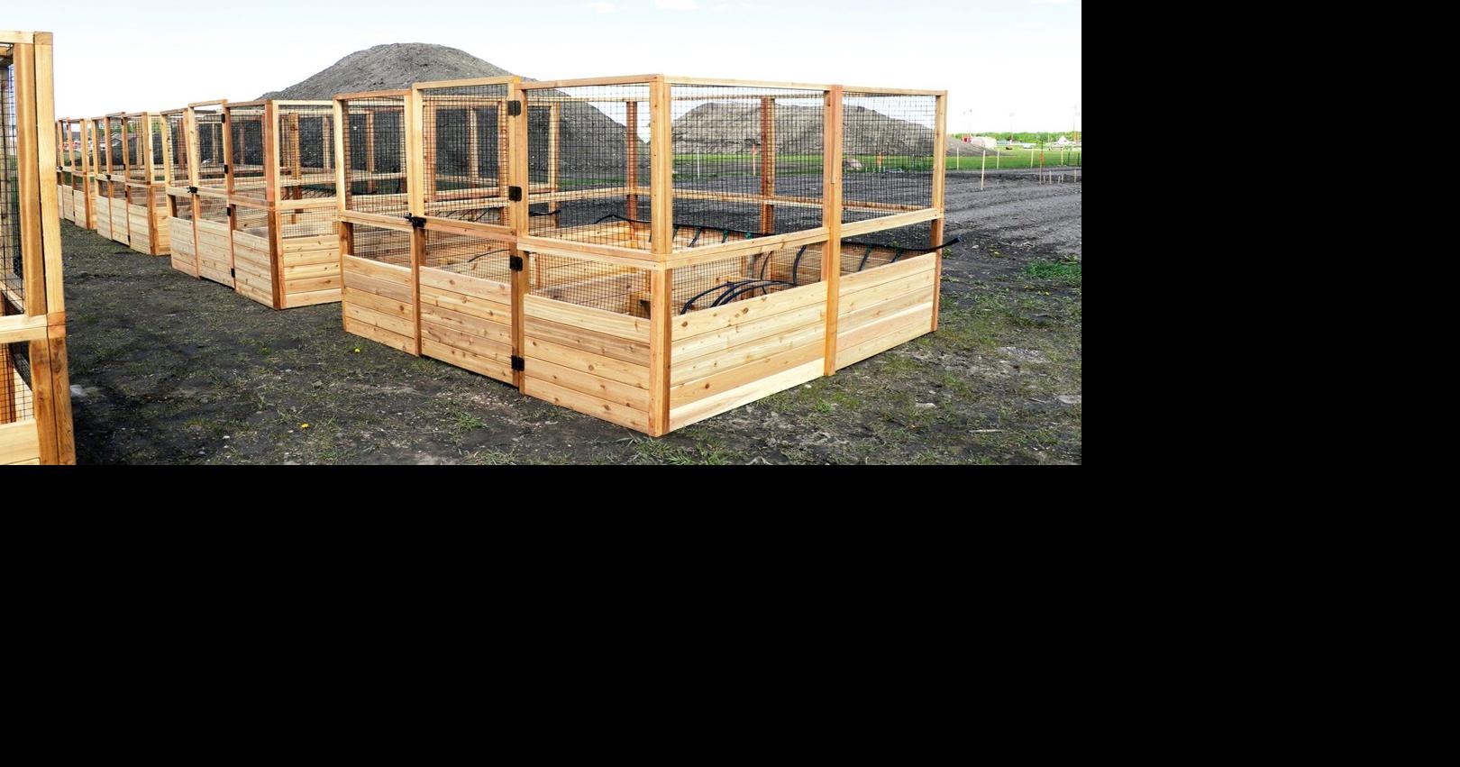 Moosomin community garden plots available for upcoming growing season