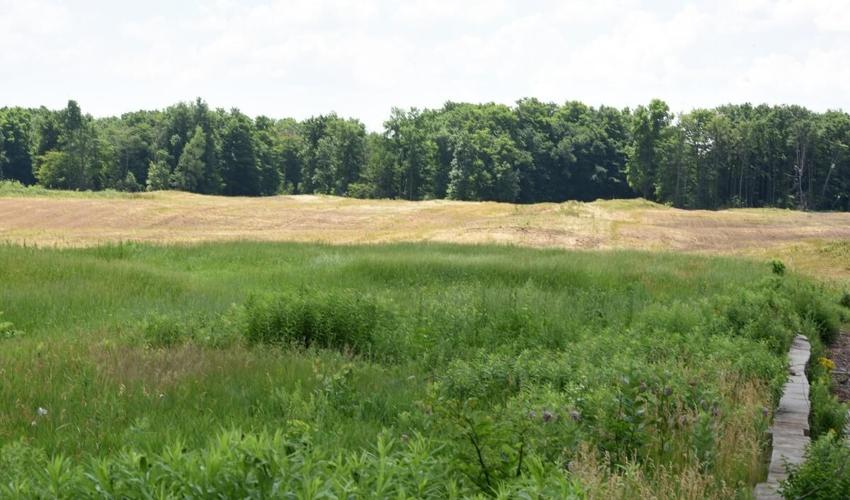 Developers pursue urban boundary expansion in Glanbrook