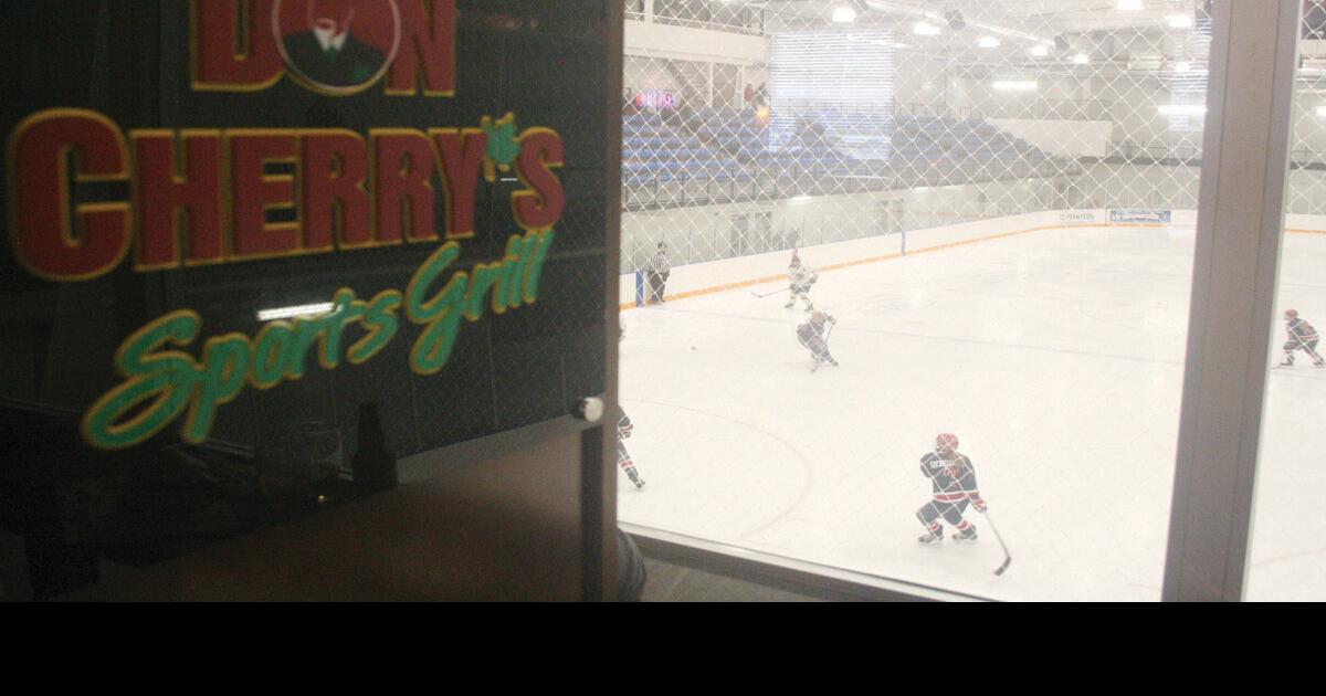 Gateway Ice Centre owners, Hamilton look to score with new agreement