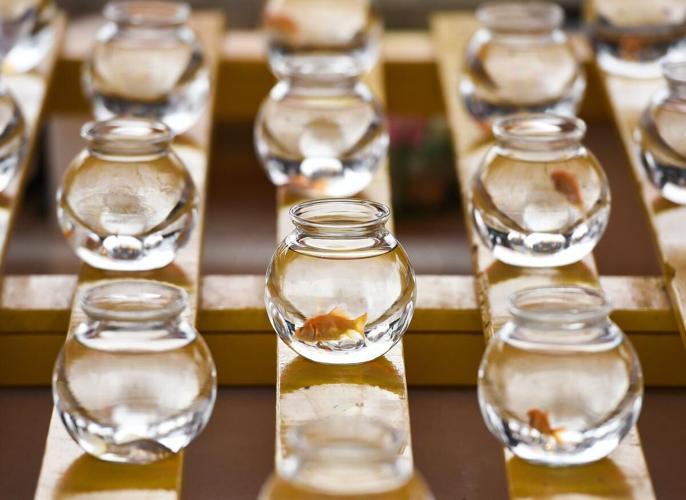 20 fall fairs from Burford to Toronto