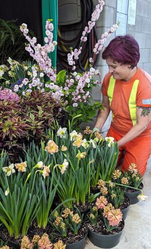 The (Spring) Tide has come in