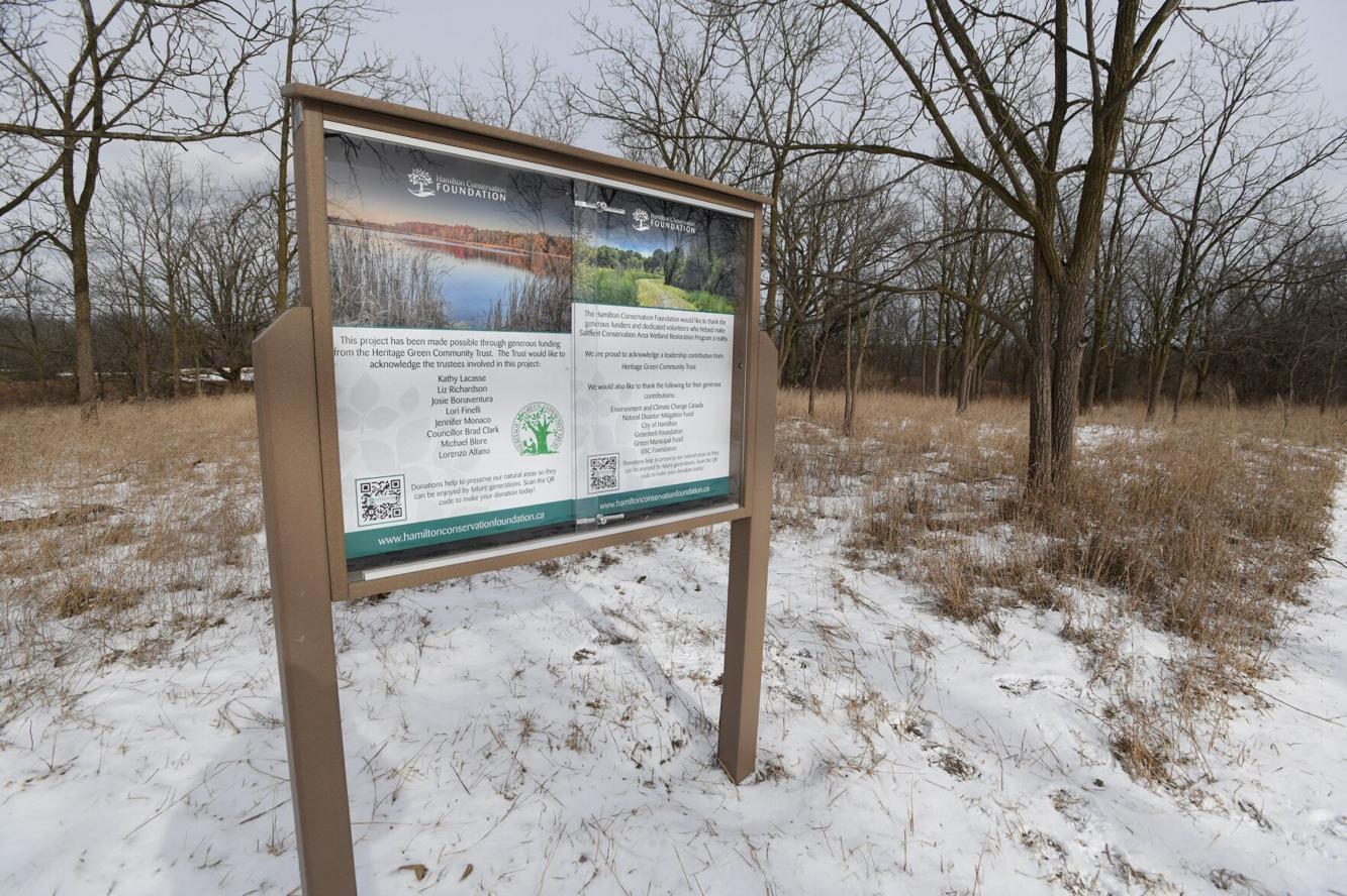 RBC pumps $200,000 into Saltfleet wetland restoration project