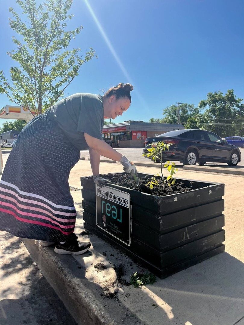 Garden “goodie boxes” leave veggies up for grabs in Portage