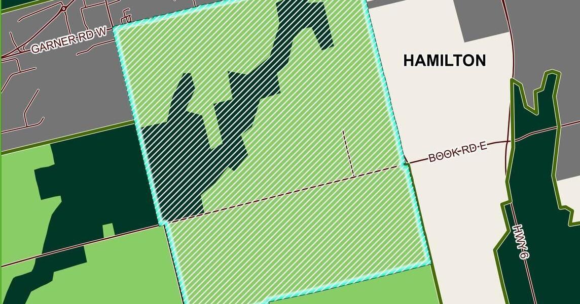 Can endangered species prevent the bulldozing of Hamilton’s former ...