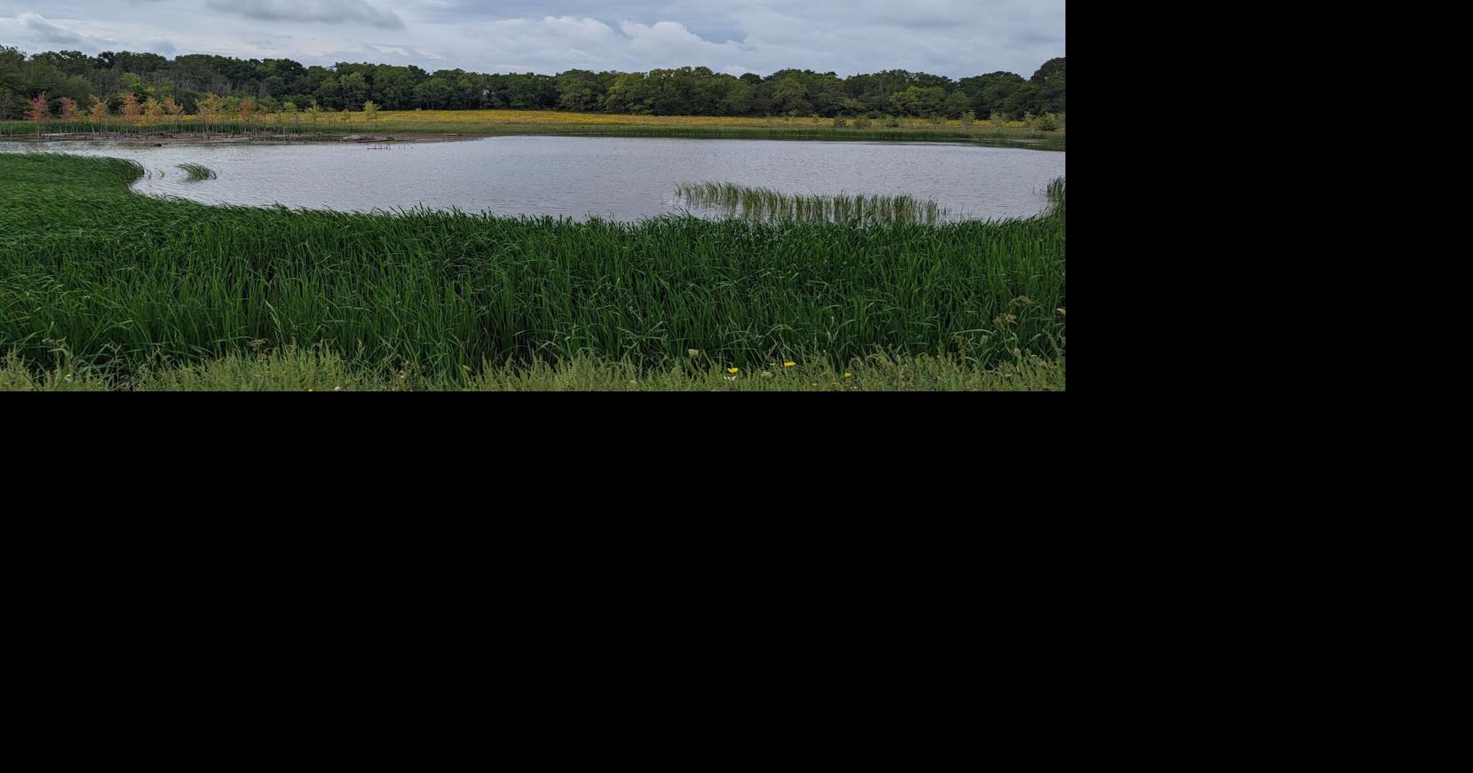 Saltfleet Conservation Area adds fourth wetland site