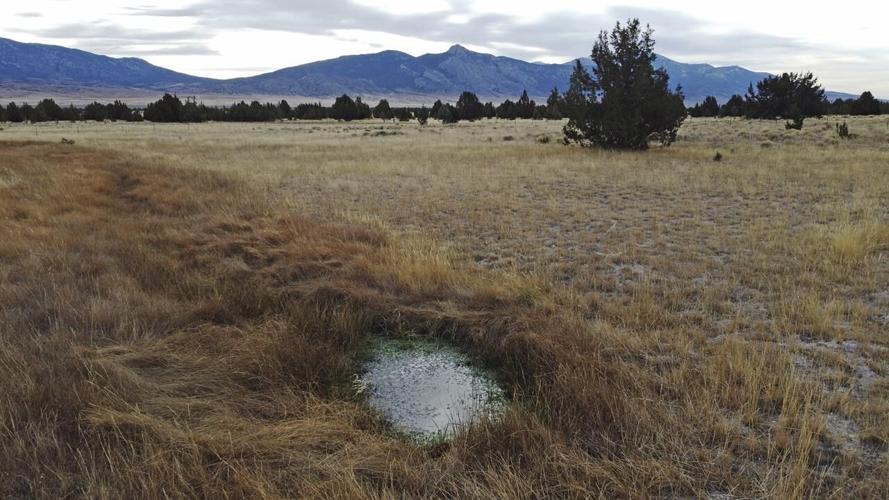 Great Basin tribes want Bahsahwahbee massacre site in Nevada named ...