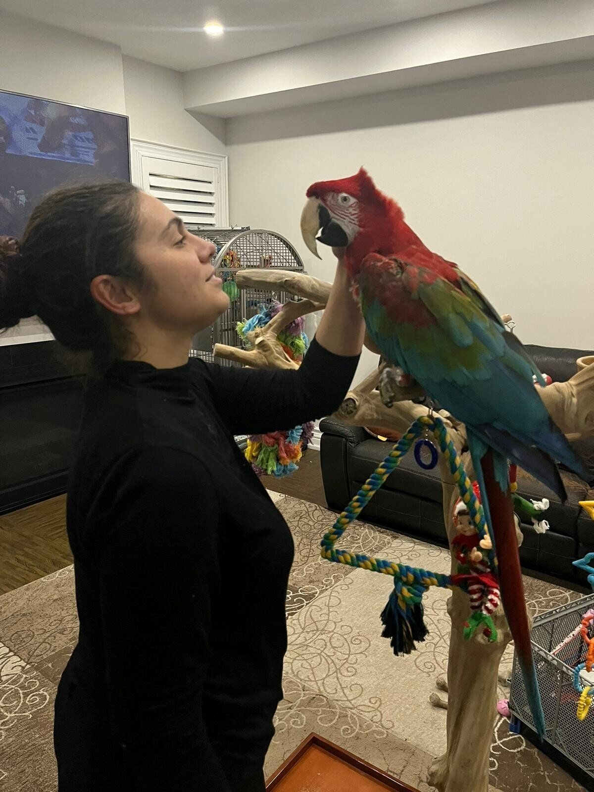 Hamilton Aviary’s new adoption program takes flight