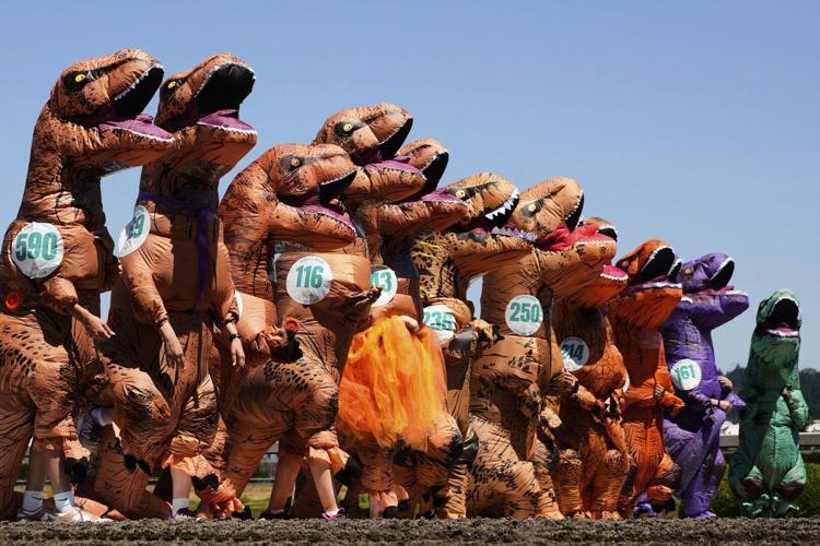 Photo highlights from T-Rex World Championship Races